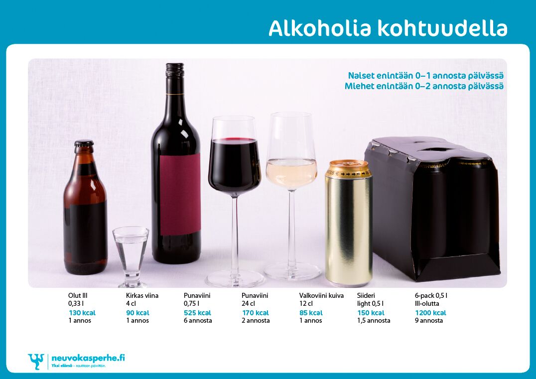 Alkoholi lapsiperheessä - Neuvokasperhe